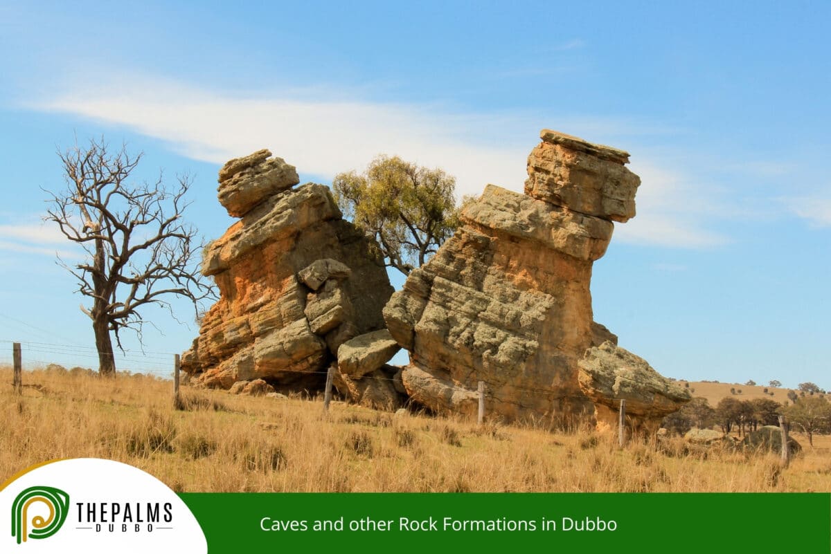 Exploring Natural Dubbo - The Palms Dubbo